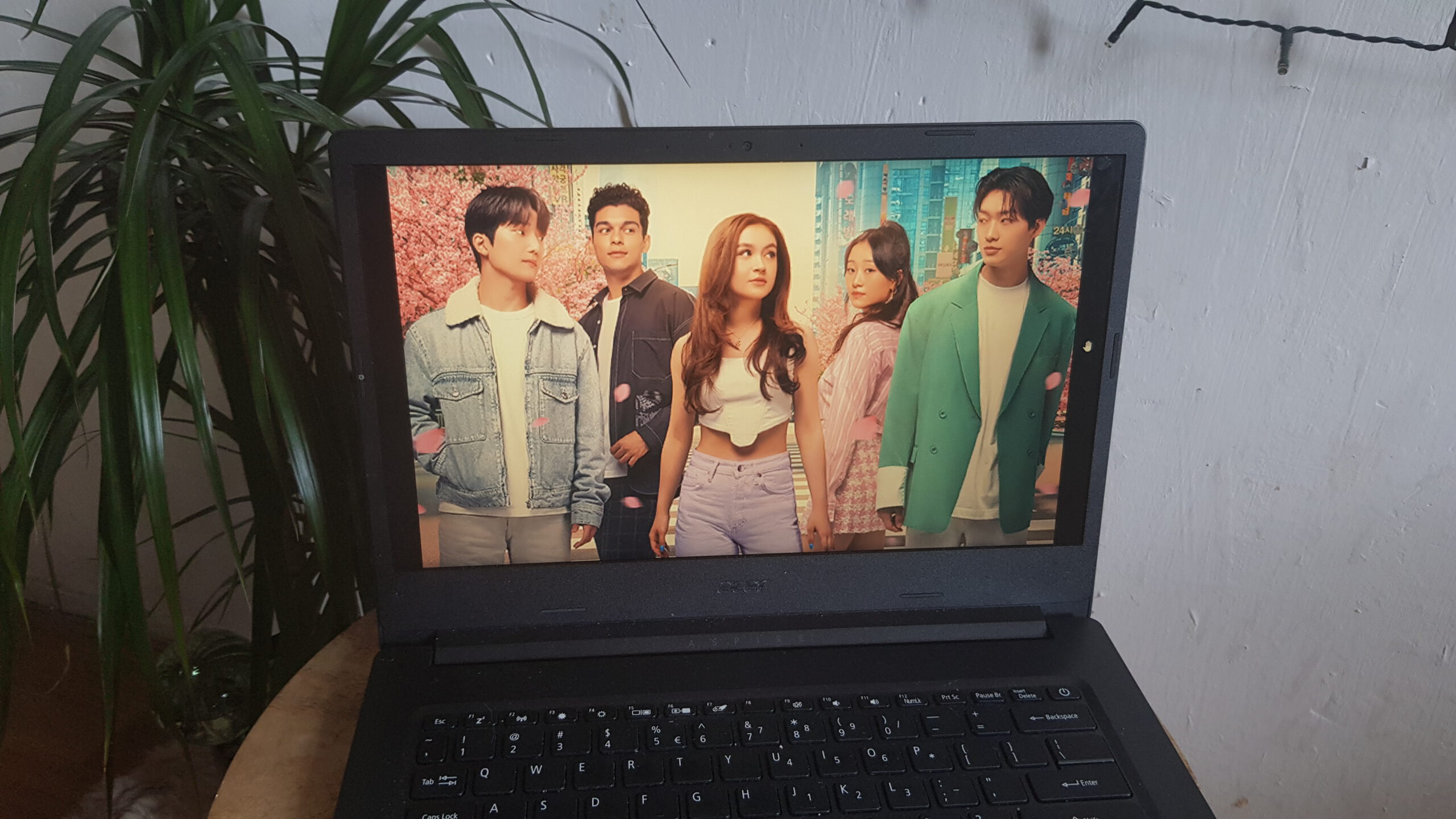 Xo, Kitty | Review - The Wildflower Hippie